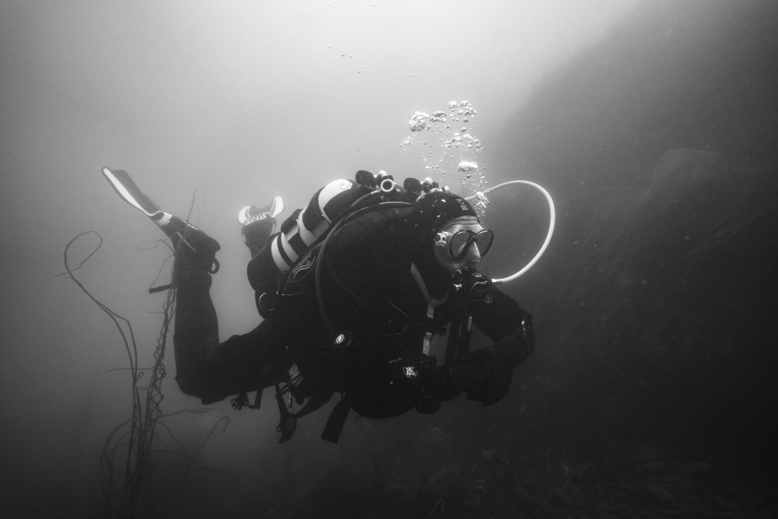 Reading British Sub-Aqua Club | Home